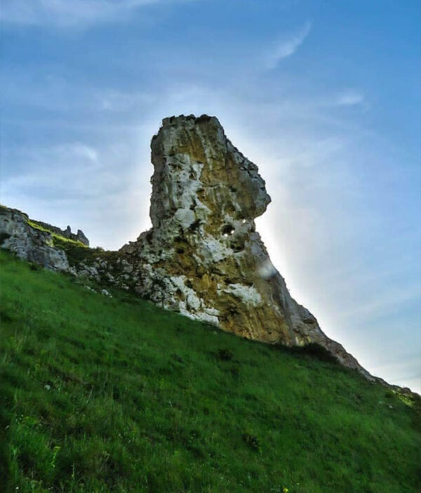 The myth of Dafni turned into a stone face - Visit Gratteri